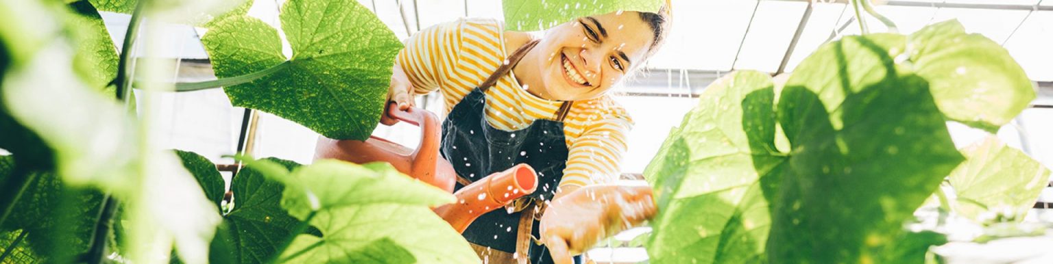 Estrategia Española de Desarrollo Sostenible 2030